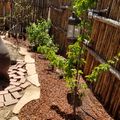 PECAN SHELL MULCH - DELIVERED – Soilutions