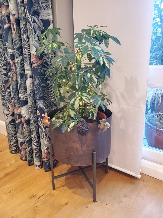 Juoni Iron Planter