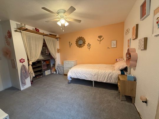 Before Sunrise: Peach Color Paint | Clare