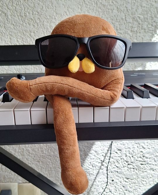 Gondola The Plush – KommandoStore
