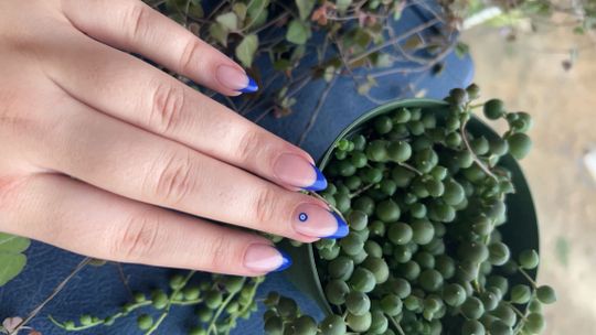 Multi Award-Winning Reusable Pop-On Manicures® in Evil Eye Short Almond ...